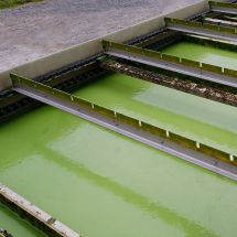 Dissolved Air Flotation (DAF) Systems Australia | Industrial Wastewater Treatment – Protex Water